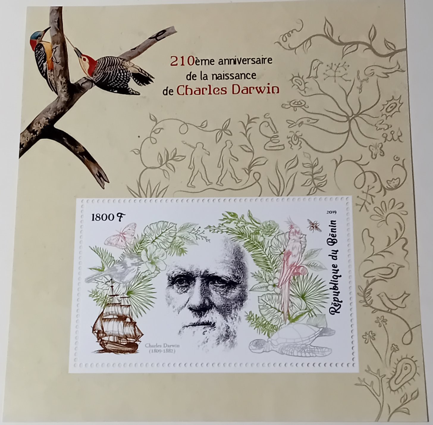 Darwin Online: Darwin Stamps